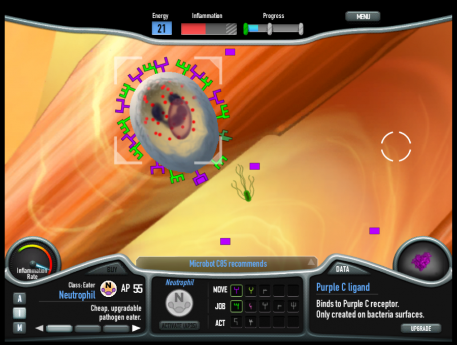 Melanie Stegman Immune Defense Biology Video Game Press kit